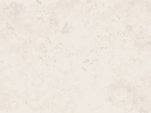 Shellstone Imports - Premium Natural Stone Products